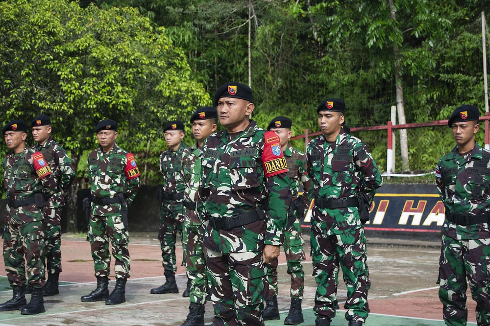 Komandan Satuan Tugas Pengamanan Perbatasan (Dansatgas Pamtas) RI ...
