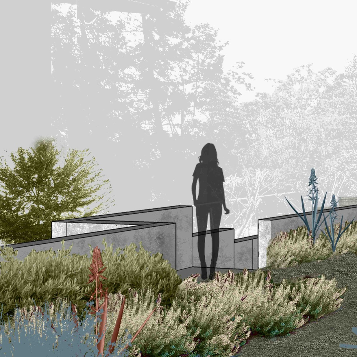 Landscape | Scharen Design Studio | Ashland