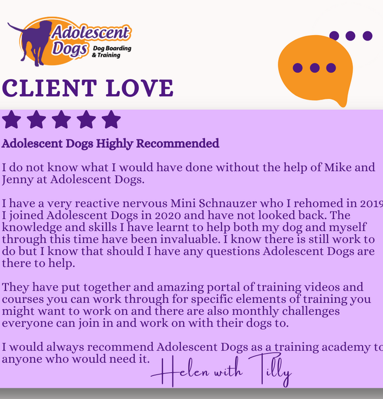 Online Dog Training | Less Than £1 Per Day | Adolescent Dogs