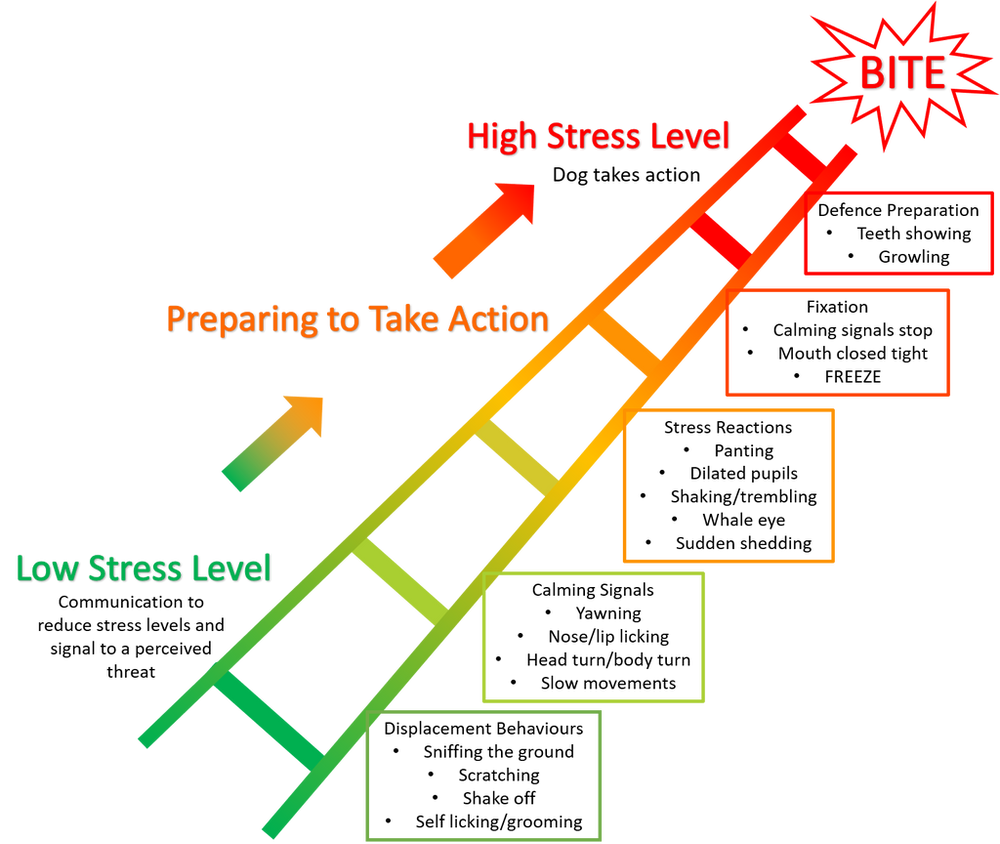 Communication & Reactivity
