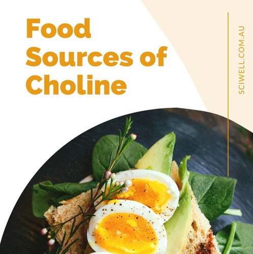 Food Sources of Choline | SWA