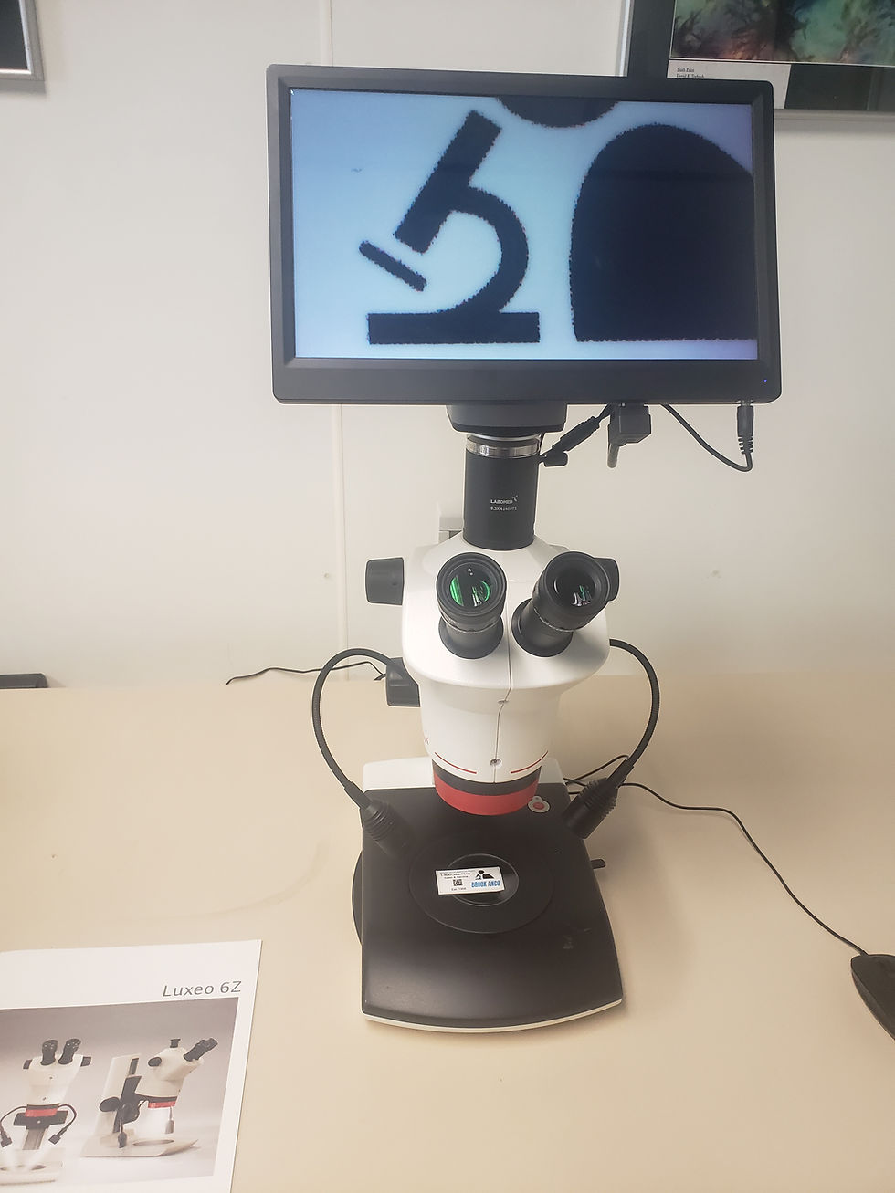 Labomed Luxeo 6Z Stereo Zoom Microscope 8x-50x with DF/BF Base and ...