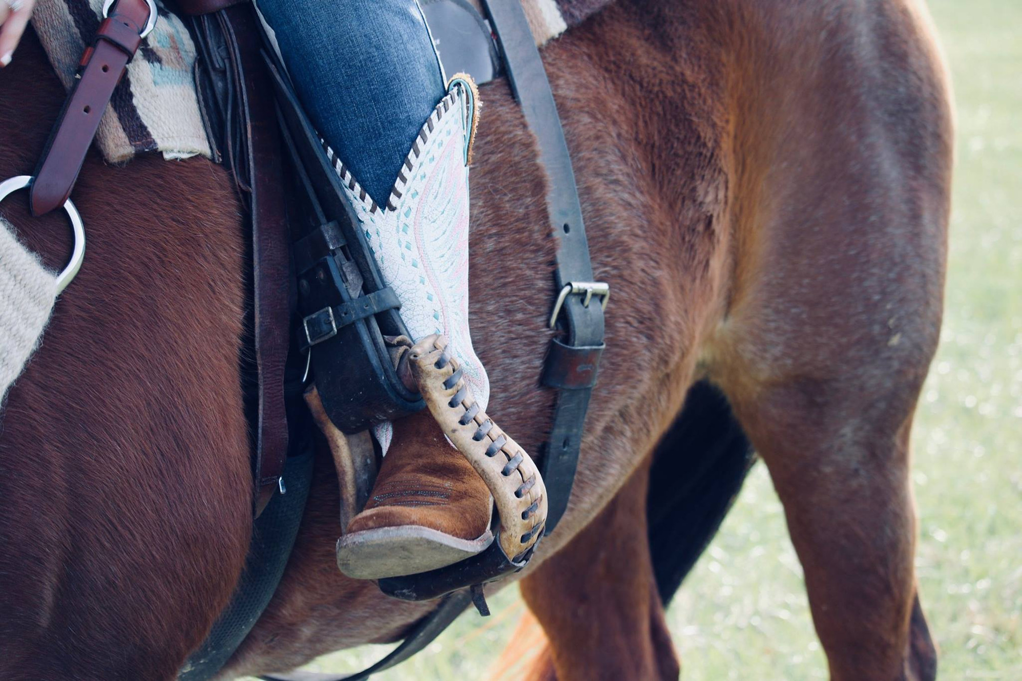 Boarding | Flying C Farm