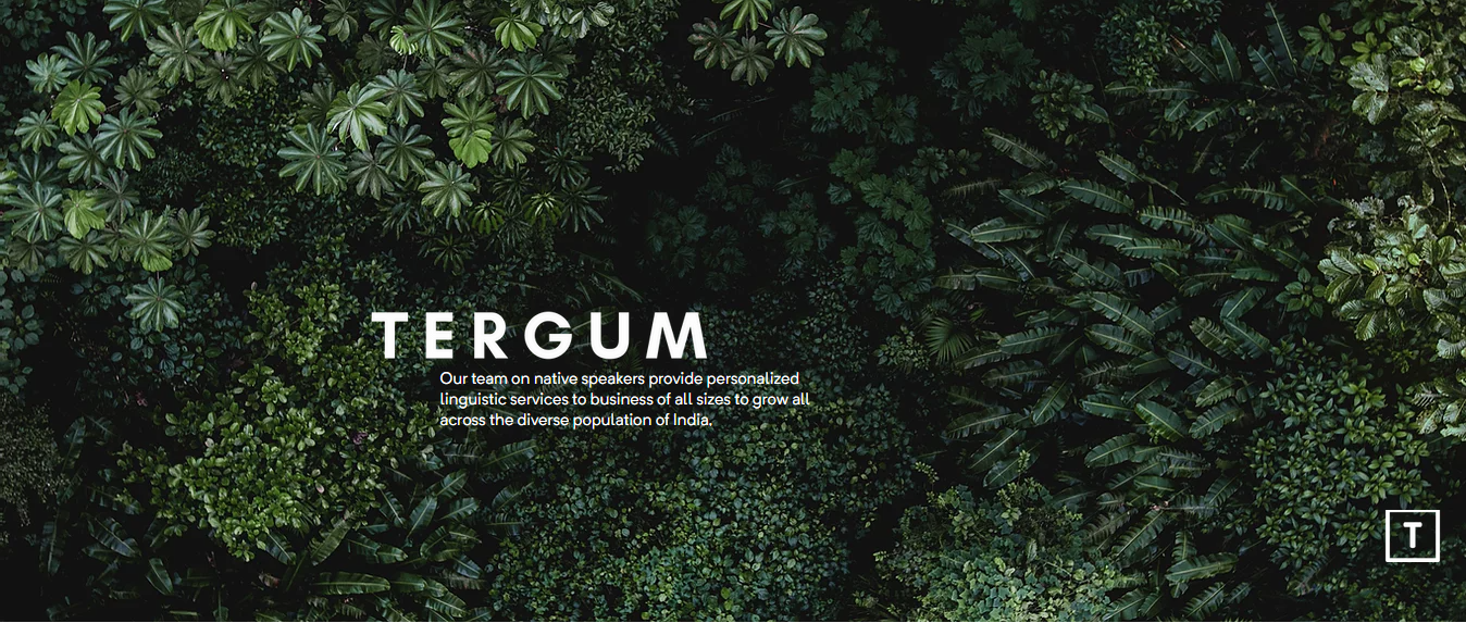 Tergum Translation Service | Sanidhya