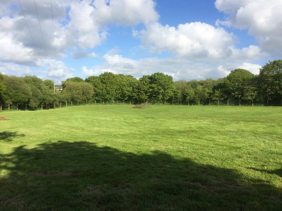 Barnfield Play Paddock & Pet Services | PLAY TIME