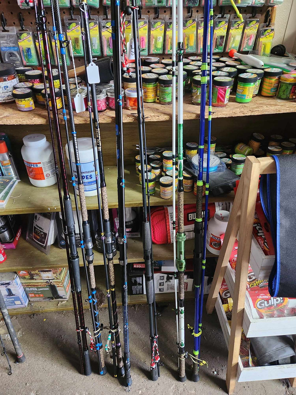 Rebel River Outfitters | Fishing | 206 E Main St, Louisa, KY, USA