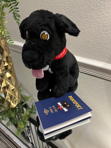 Gunner plushie with "Pawsport" | Gunner Goes Series