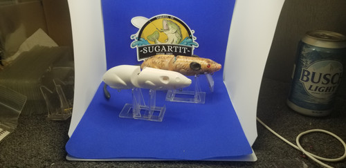 5 inch rat | Sugartit