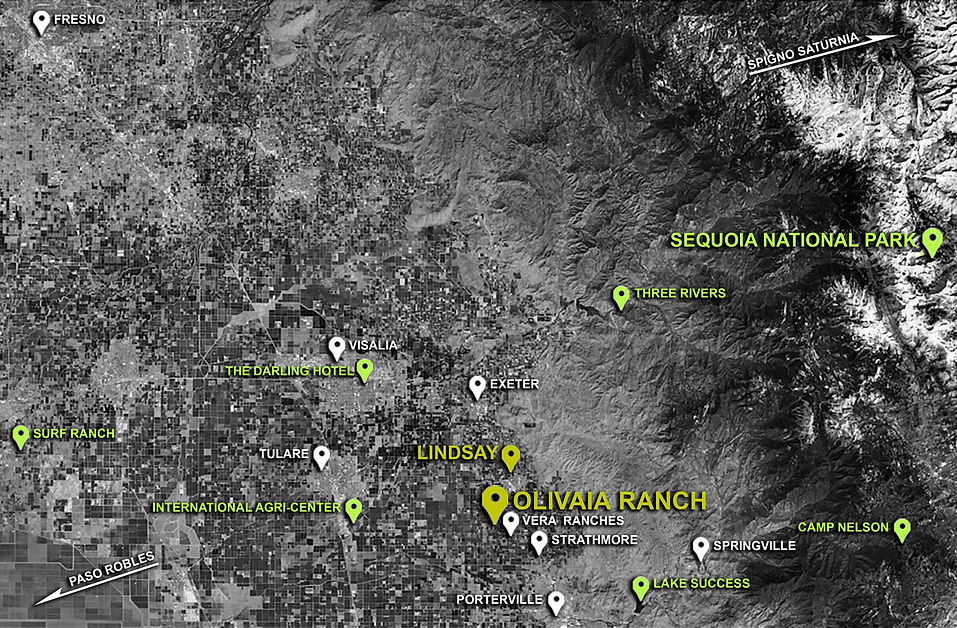 Olivaia OLA California Extra Virgin Olive Oil