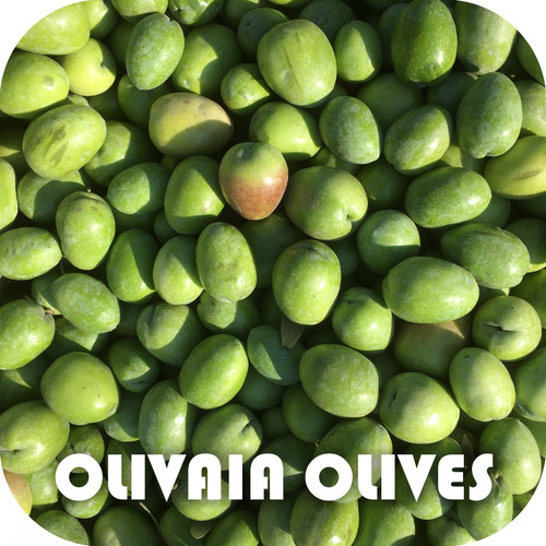 FRESH SEVILLANO OLIVES | olivaia