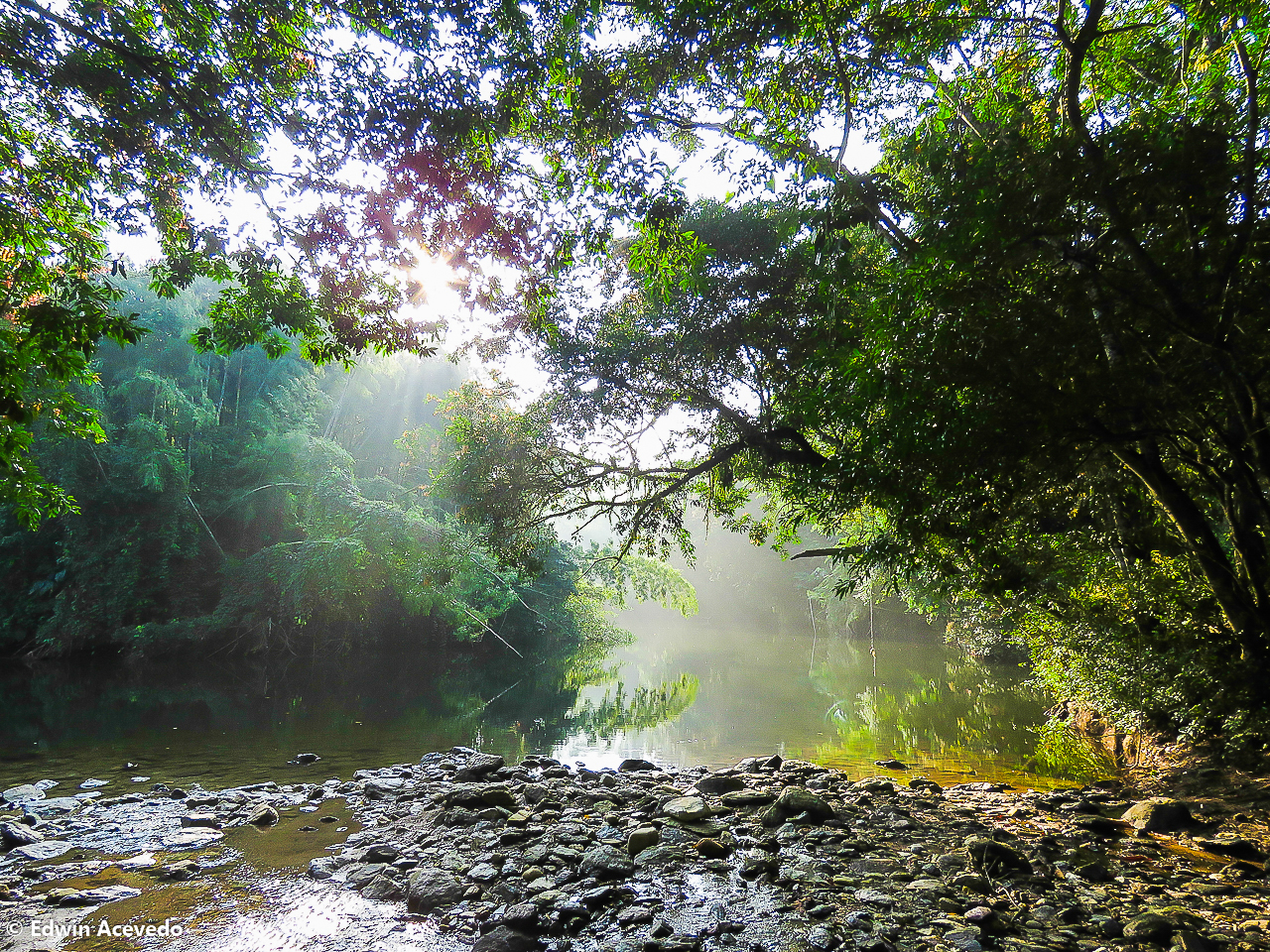 Mid-Magdalena Valley | Colombia | Native Birding Colombia Tours