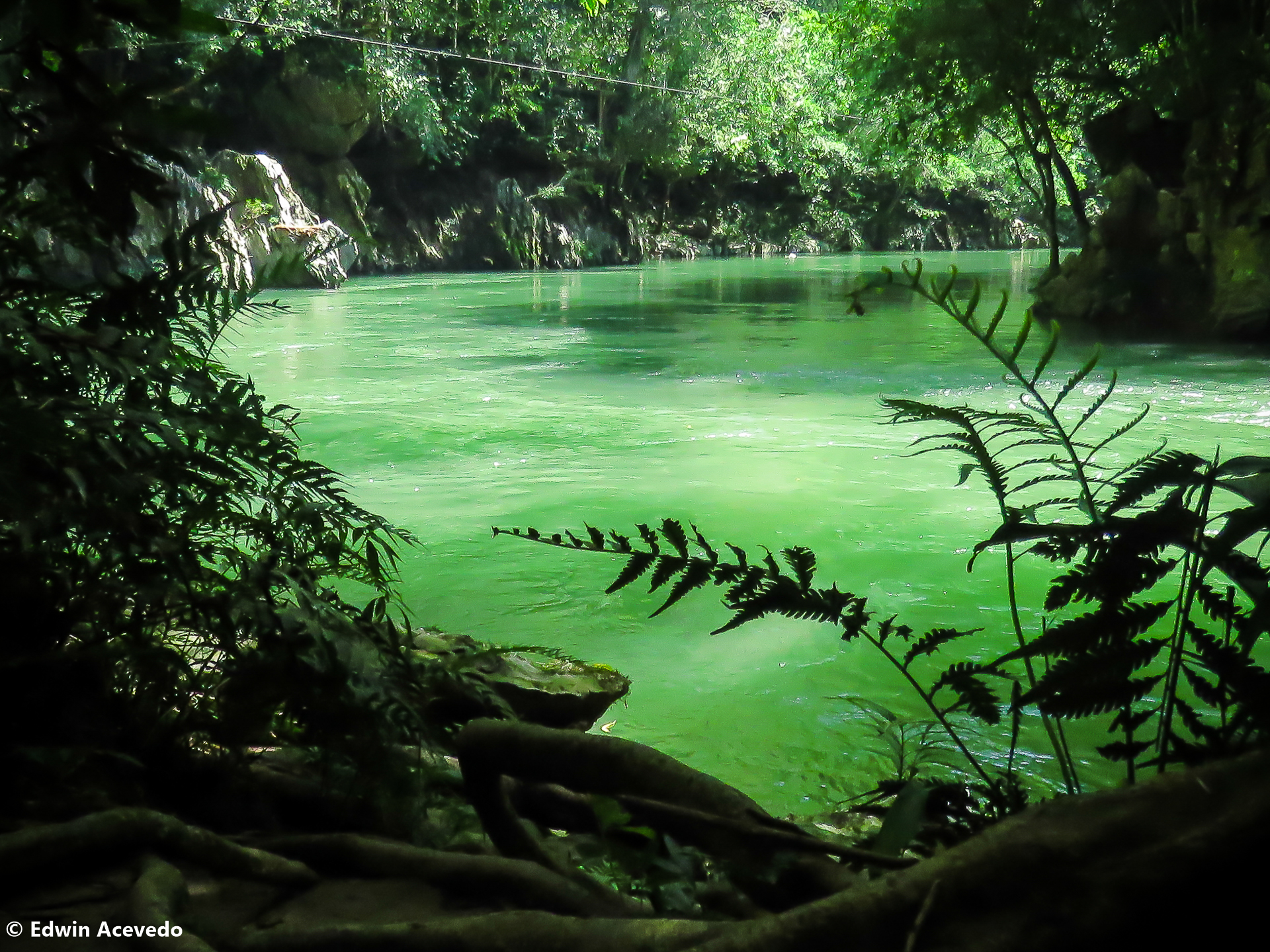 Mid-Magdalena Valley | Colombia | Native Birding Colombia Tours