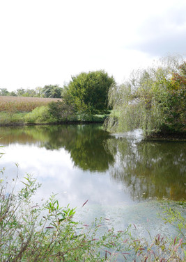 Gallery | Comus Farm