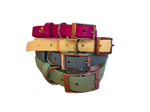 Custom Collection Full Colour Biothane Dog Collars