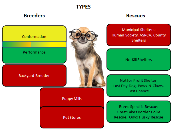 Shelters, Rescues, Backyard Breeders, Puppy Mills VS a Reputable ...
