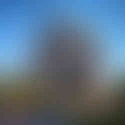 PROYECTOS | Forma Capital