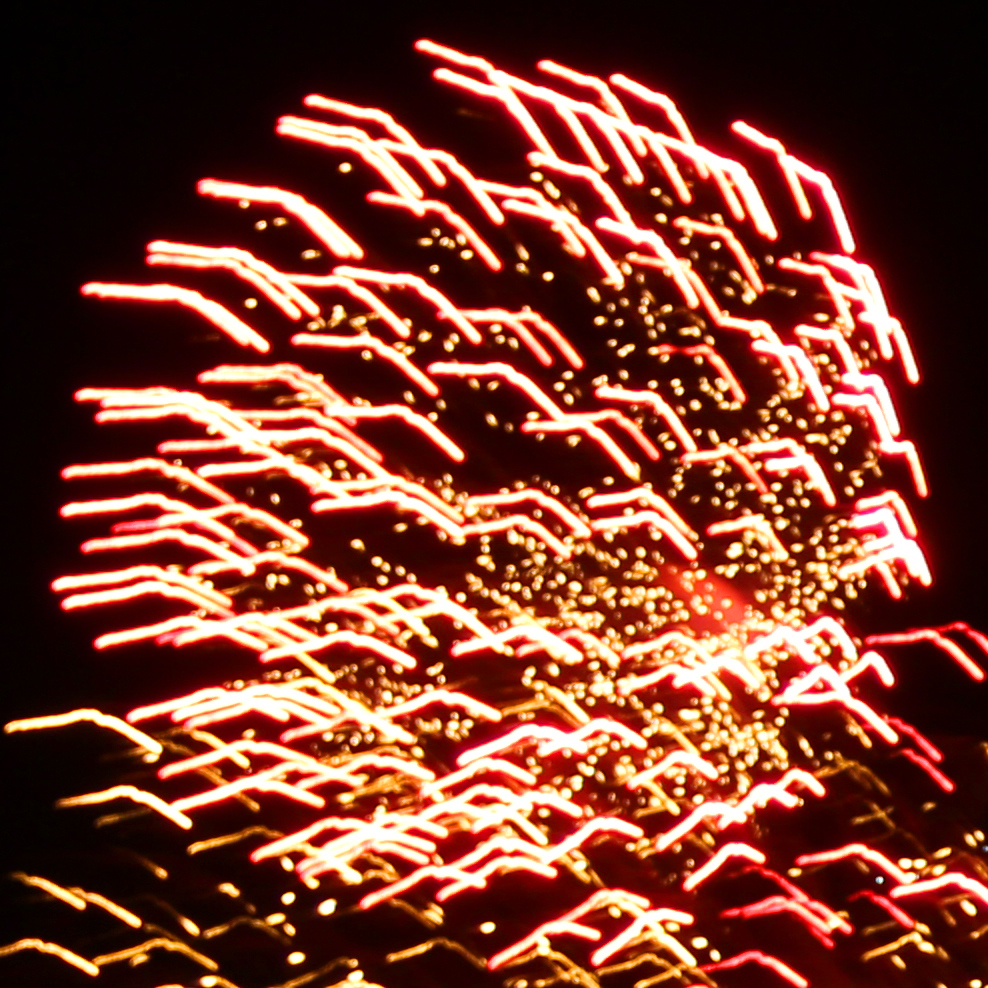 Kate Terhune - Credentials & Contact Information