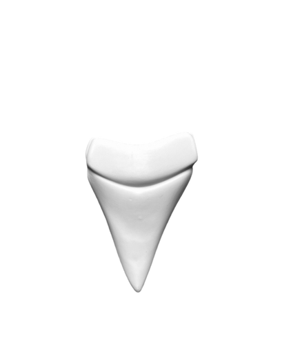 Shark Tooth (Base +Top) | Cookplay