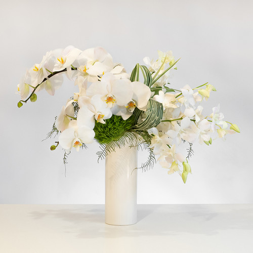 Graceful Embrace | The Flower