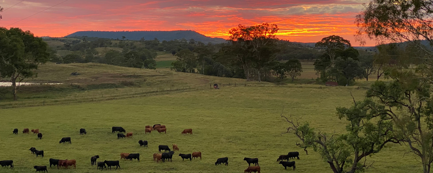 Atkinson Rural | Rural real estate | Queensland, Australia