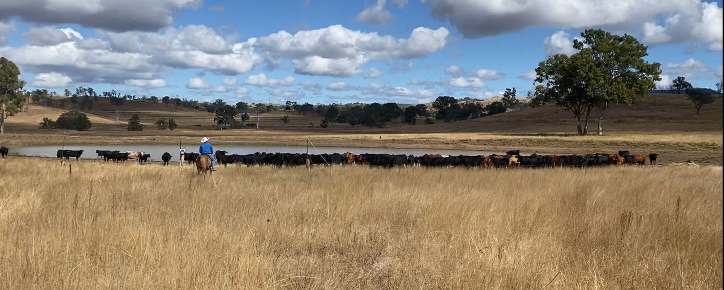 Atkinson Rural | Rural real estate | Queensland, Australia