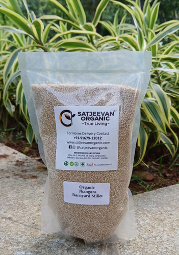 Organic Jhangora Barnyard Millet 500g | Satjeevan Organic