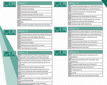 Ice Skating Lessons Levels | Lloyd Ice Rink, Lloyd Center Mall