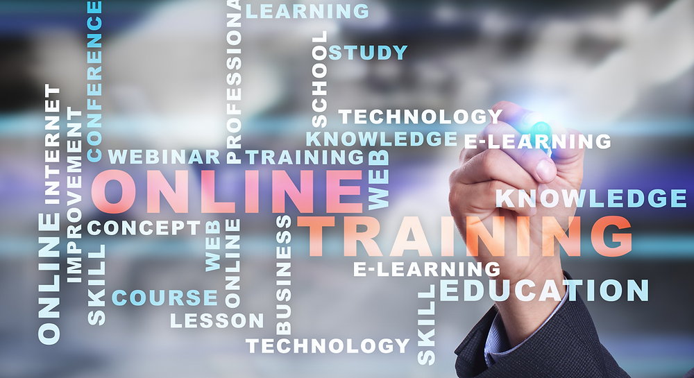 Sixteen Niche Opportunities in the Online Training Services Market