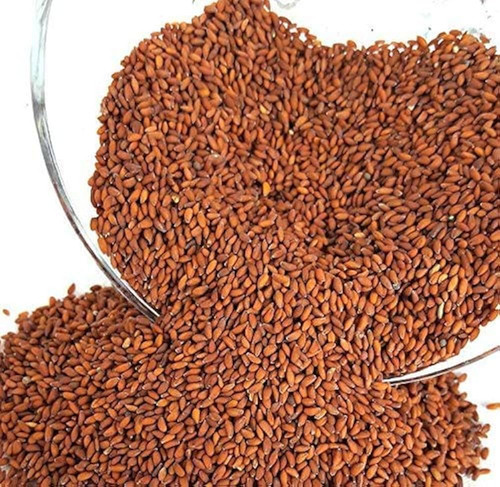 ASALIYA SEEDS | Shivoham International