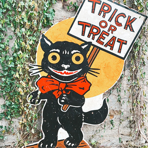 Trick or Treat Cat | Crackerjack Junk Co.