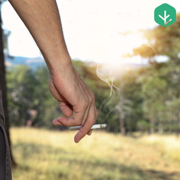 12 Essential Facts About Wildfires