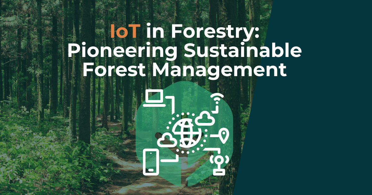 Iot In Forestry Pioneering Sustainable Forest Management Dryad