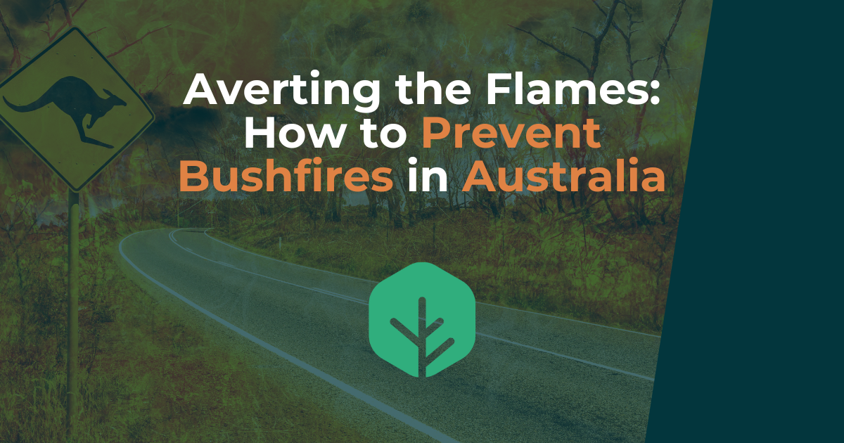 Averting the Flames: How to Prevent Bushfires in Australia | Dryad