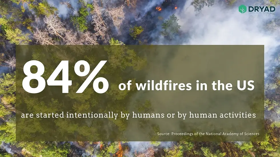 Understanding How Wildfires Start: Natural and Human Causes