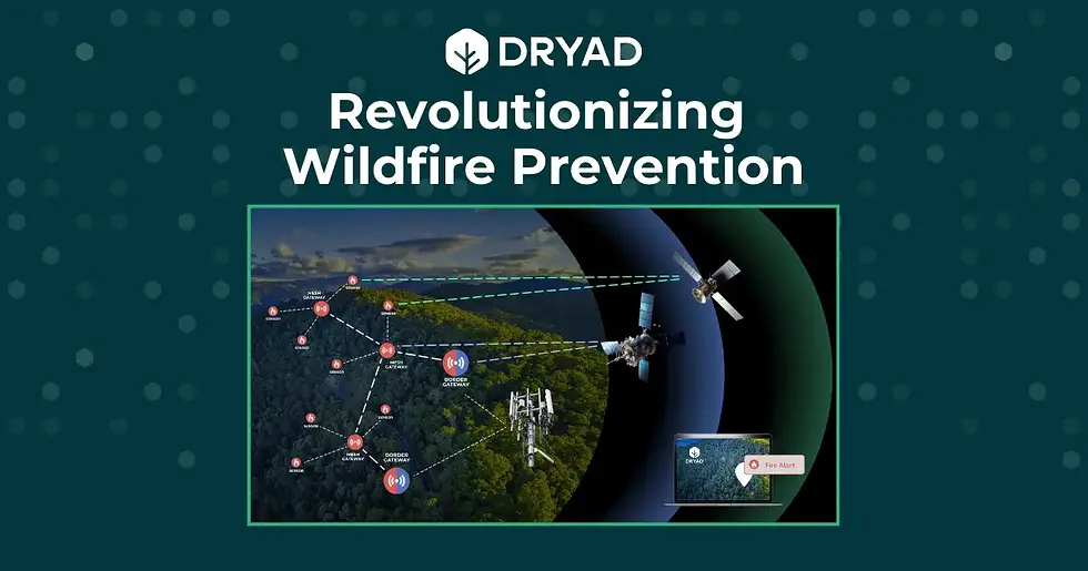Revolutionizing Wildfire Prevention: How Dryad is Leading the Way