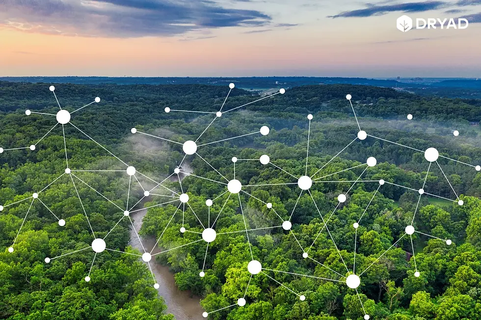 What is a LoRa Mesh Network? How Dryad's is Game-Changing