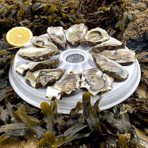 Handmade Ceramic Glazed Oyster Plate for Your Home Dinner Table