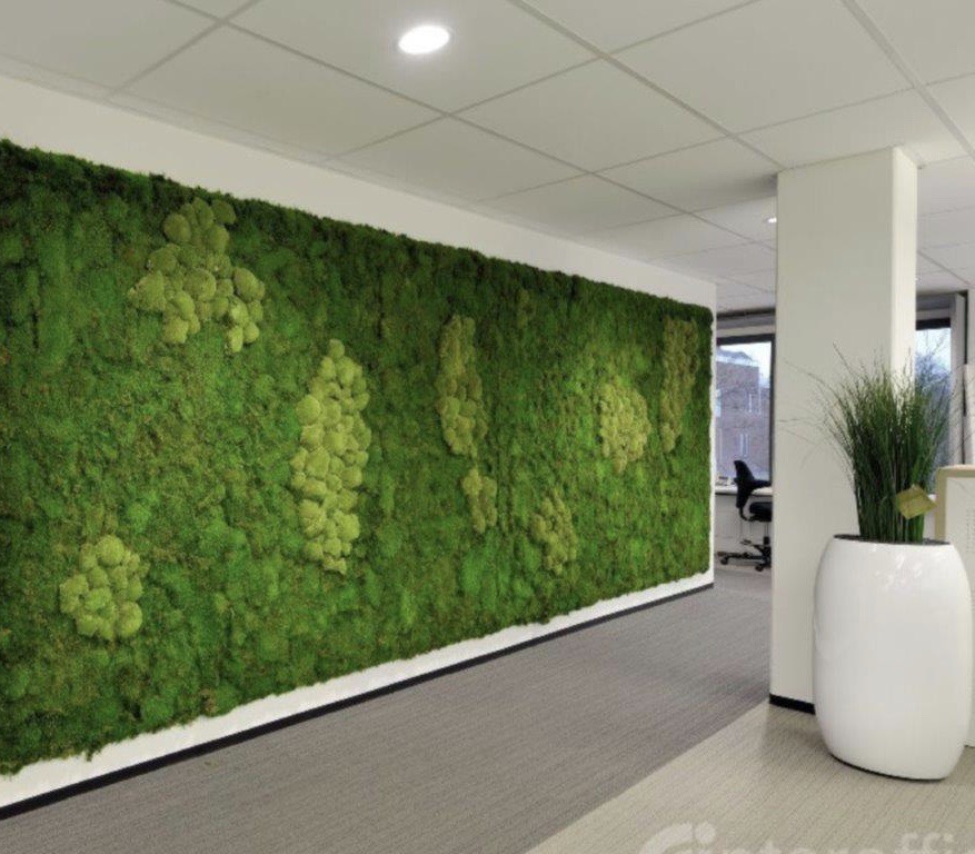 Enhance Your Space with Moss Panels: A Nature-Inspired Soundproofing ...