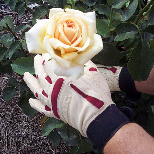 Short Rose Gloves | The Rose Gardener