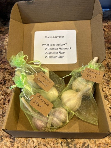 Garlic Sampler | Eco Micro Farm
