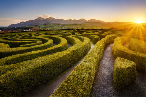 Castlewellan Peace Maze (i) | Tandem PhotographyNI