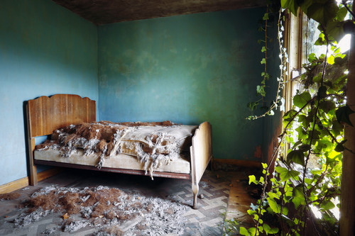 Nature Takes Over | Tandem PhotographyNI