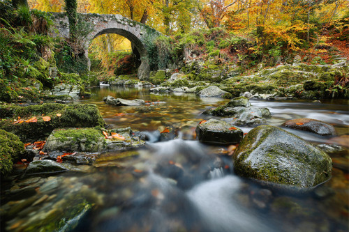 Foley's Bridge, Tollymore | Tandem PhotographyNI