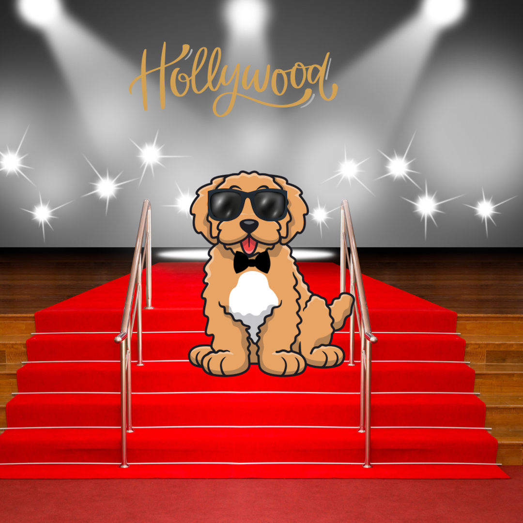 Stars & Paws : Doodle Dogs channeling Celebrity Vibes!