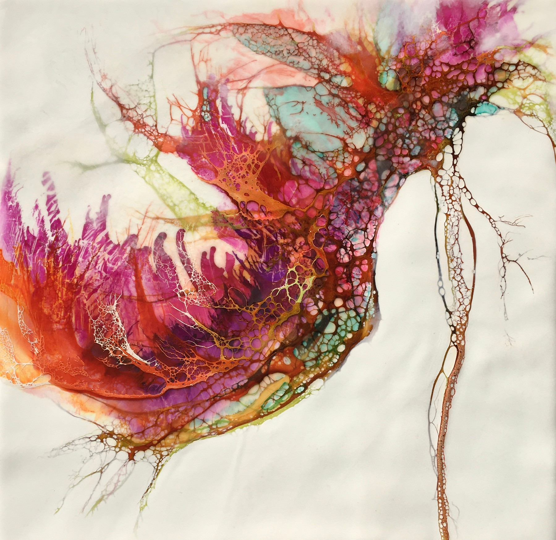 Sarah Williamson| Art Shows Across Aotearoa