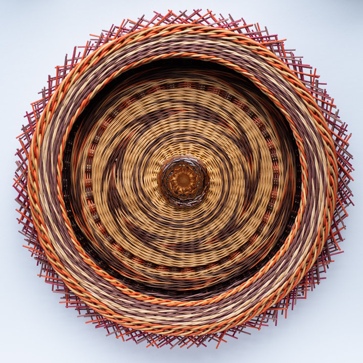 Tamar Guse| Art Shows Across Aotearoa