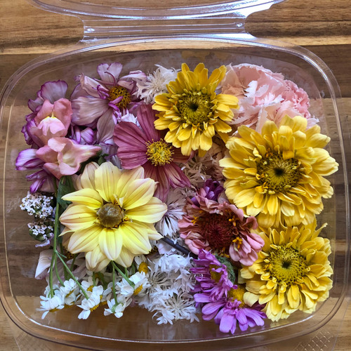 Edible Flower Mix | Mysite