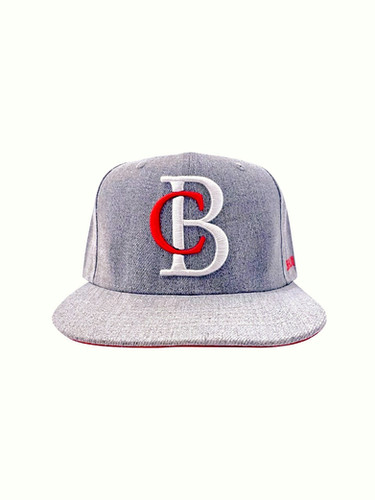 Big Logo Hat- Gray | Benjii & Co
