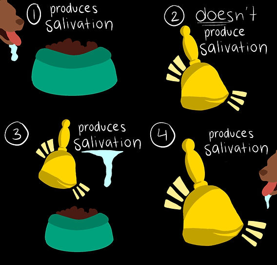 operant conditioning is learning through