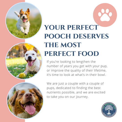 TWL PET NUTRITION | The WELLthy Life